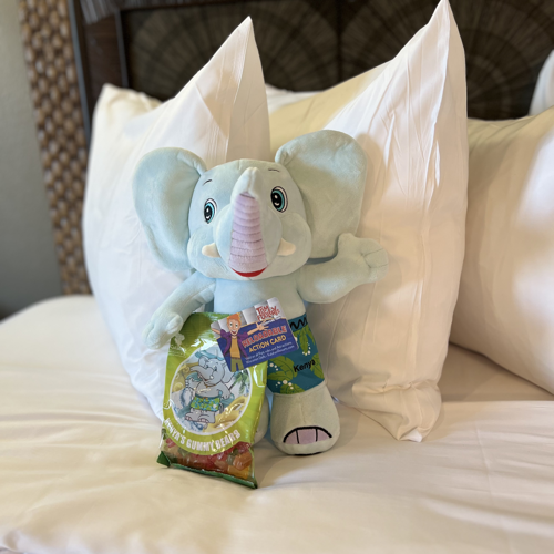 Game Time! | Shop | Kalahari Resorts | Kalahari Resorts & Conventions