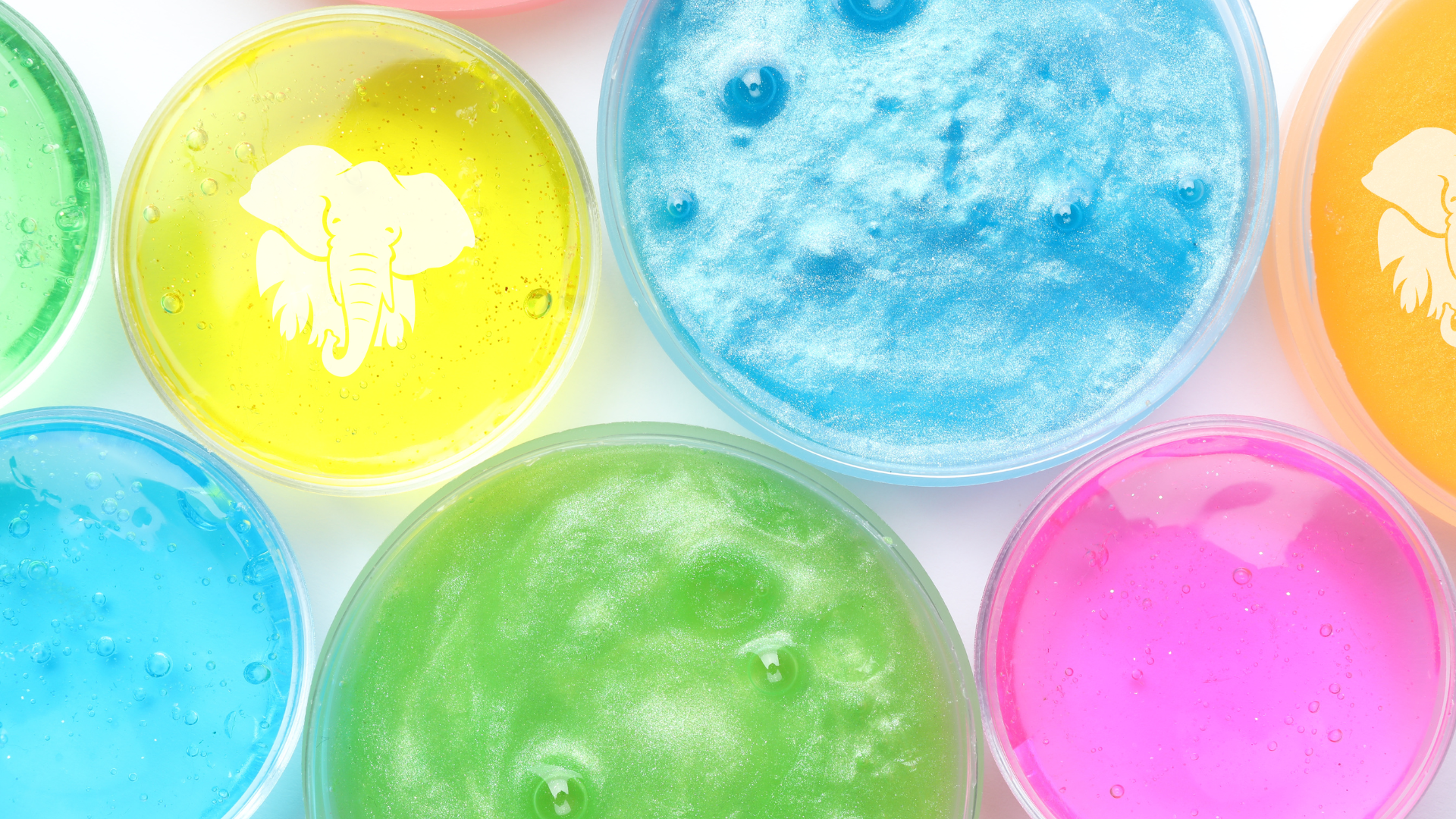 National Waterpark Day | Kalahari Resorts & Conventions